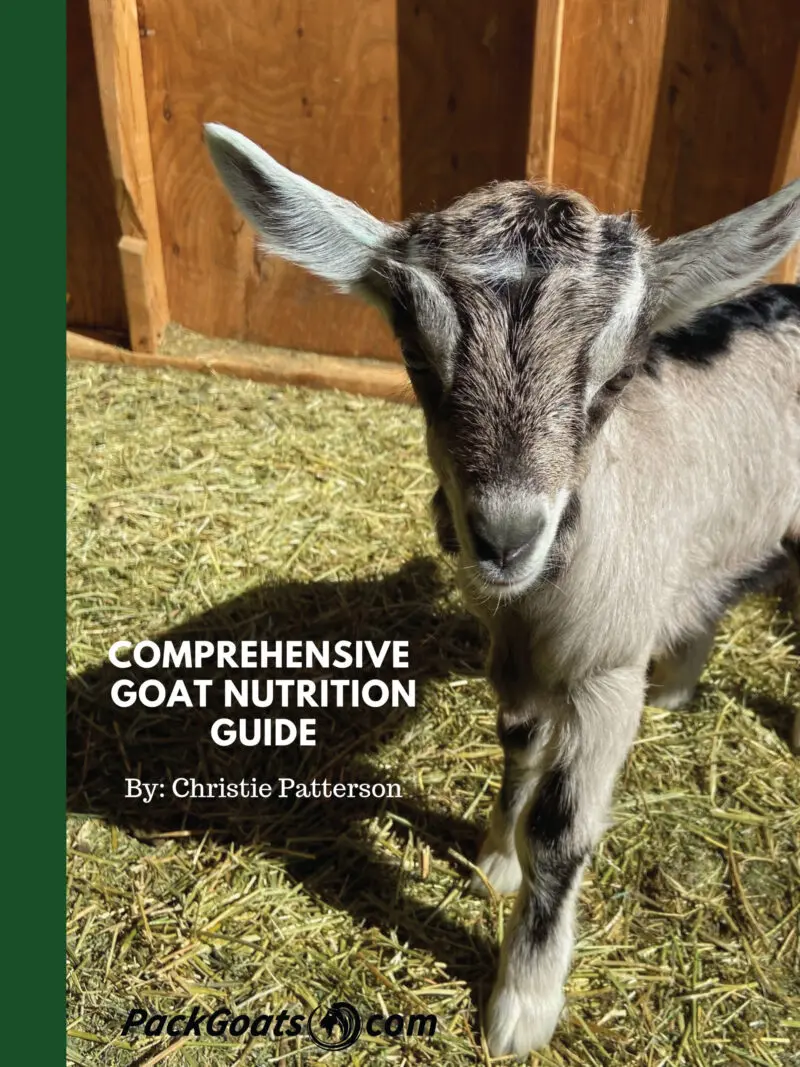 Comprehensive Goat Nutrition Guide 4301