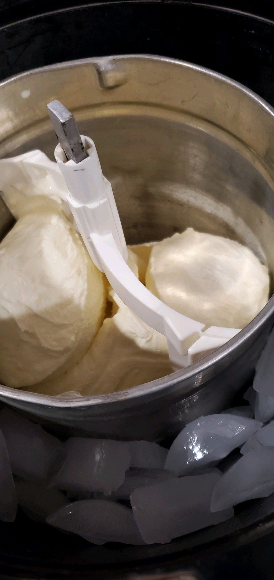 Make Homemade Goat Milk Ice Cream - Packgoats.com