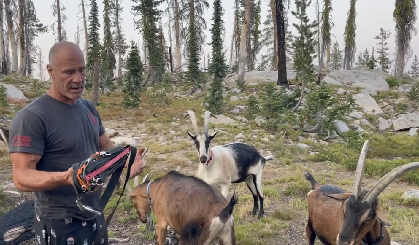 Setting Up Goat Camp - Packgoats.com